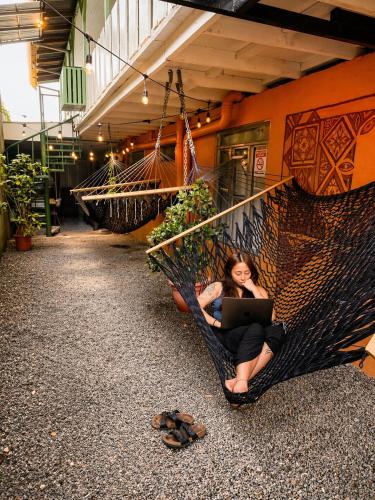 Alpha Arenal Hostel - La Fortuna