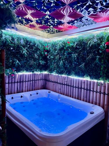 Appartement Avec Jaccuzi & Jardin - Castres