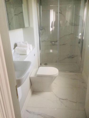 Double Room In Dublin 4 Short Term - Dublín