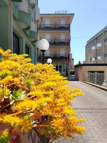 Hotel Anita B&b Sul Lungomare - Cesenatico
