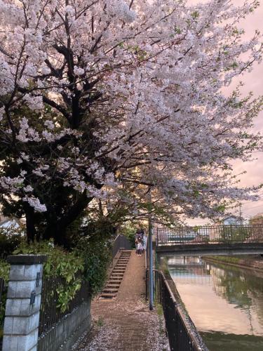 Vivi House - Uji