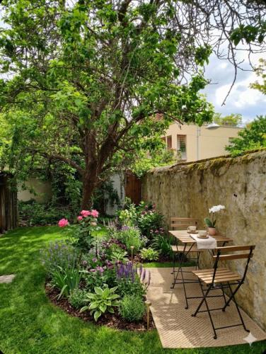 Appartement Lumineux Avec Jardin Privatif - Le Mans