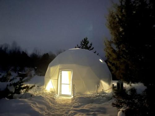 Cosmic Intimacy: Geodesic Dome Escape For Couples In A Dreamy Michigan Setting - Michigan