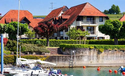 Ferienwohnung -West Hafele Blick - Markdorf