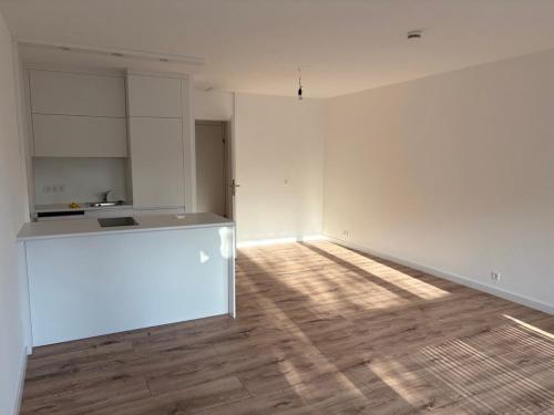 1 Single Big Room Apartment With Big Terrace, Kitchen, Sauna - Stuttgart