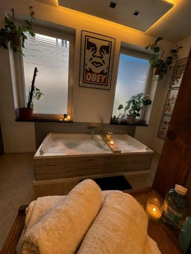 C Boutique Apartment Mit Spa-badewanne Elbe Zentral Im Grunen - Magdeburg