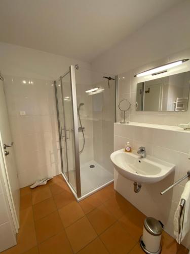 Apartment Am Paradiespark - Jena