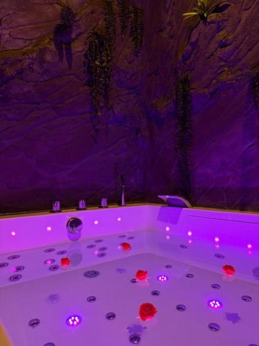 La Grotte Interdite - Love Room - Jacuzzi D'exeption - Rouen