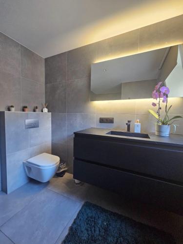 Room En-suite Gent - Ghent