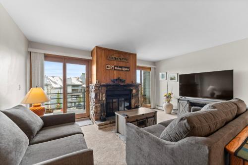 Buffalo Ridge Village #203 Building Aa - Silverthorne, CO