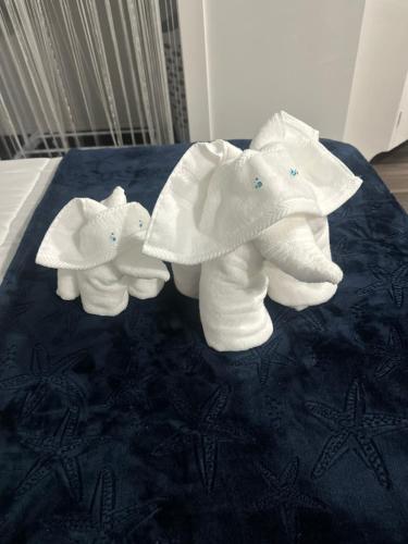 Cozy Studio Apartment With Ac In Naples, Just Minutes From The Beach - Naples, FL