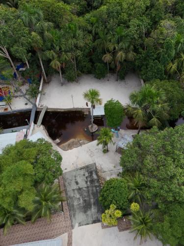 Sitio Com Igarape E Praia Dentro De Manaus - Manaus