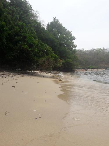 10 Beach Resorts In Nasugbu, Philippines | Trip101