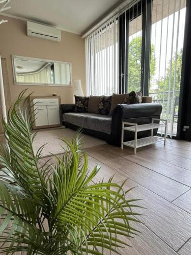 Molo Apartman - Tihany
