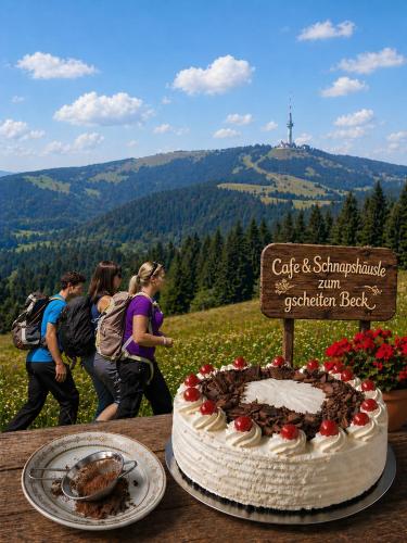 Fewo Zum Gscheiten Beck Mit Grosser Terrasse - Schluchsee
