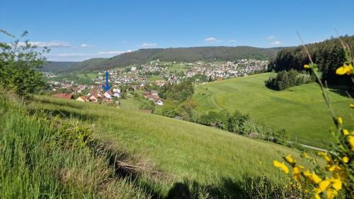Baiersbronn, Schwarzwald, Aussicht, 2 Zimmer, Sonne - Baiersbronn