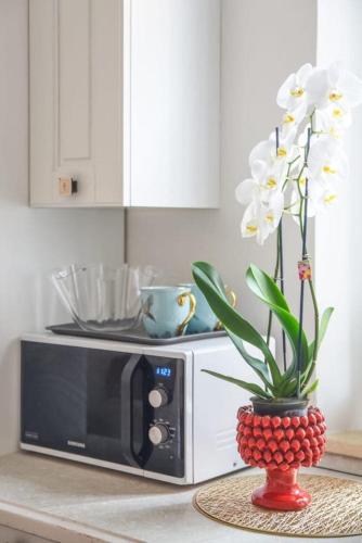 Apartment In The Historic Center - Fano