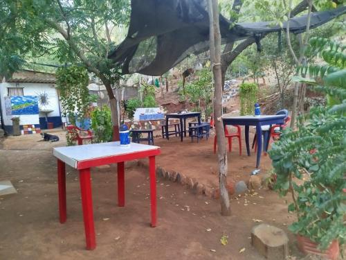 Mr Wilson Casa Camping - Taganga