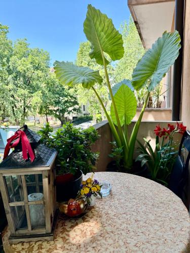 Casa Di Taty B&b - Mestre