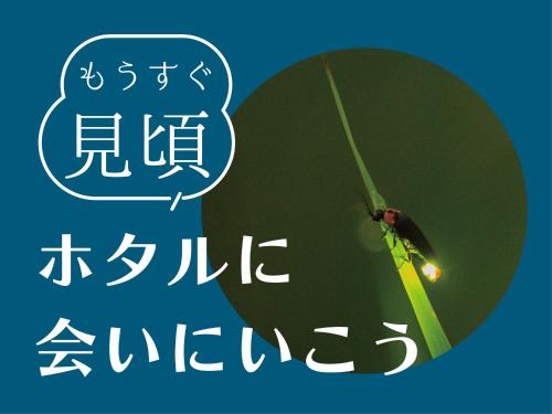 Ukiha Kojio No Akari - 浮羽市