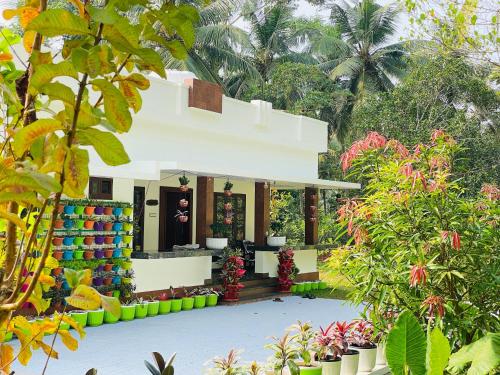 Green Hills Nature Stay - Kozhikode