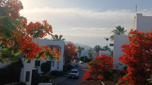 Grosse Wohnung In Delta Sharm - Sharm El-Sheikh