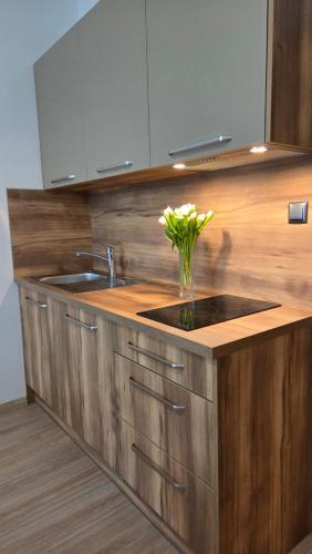Apartmany Victoria - Trenčianske Teplice