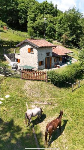 Baita Di Montagna Nella Natura - Lago Di Como - Lecco