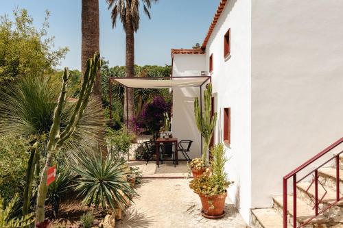 Maison De Plage Et Jardin Botanique A 600m De La Mer - Albufeira