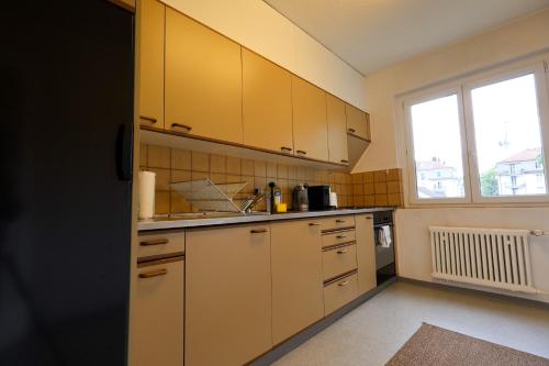 Spacious Apartments Near Zurich City Center - Zurique