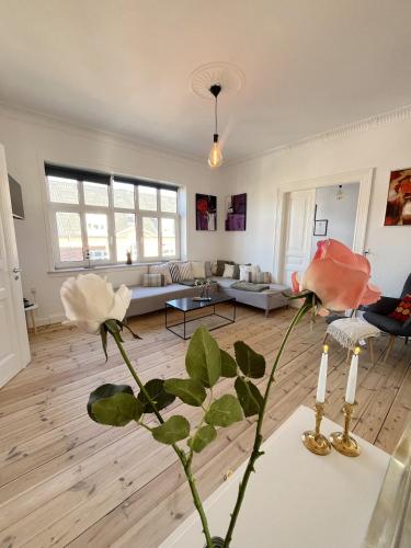 Unique Luxurious And Historic 130 M2 Apartment - Esbjerg