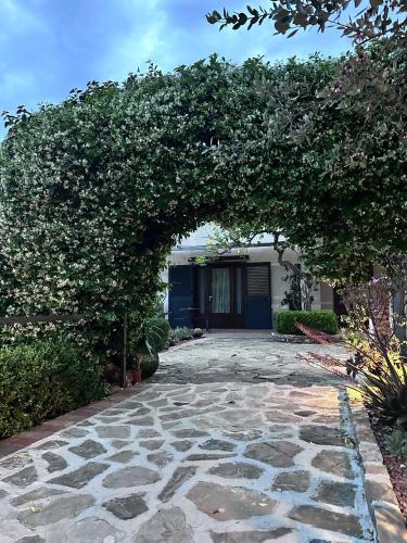 La Casa Del Maestro - Pisciotta