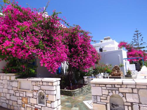 Scorpio Studios - Paros
