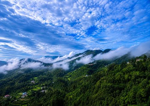 The Homely Hills - Shimla