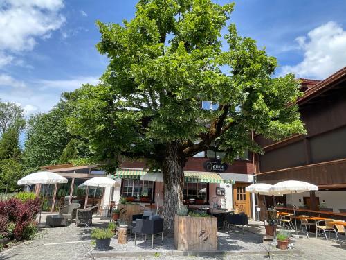 Gasthof Tenne - Ferie Mit Harz - Lenk