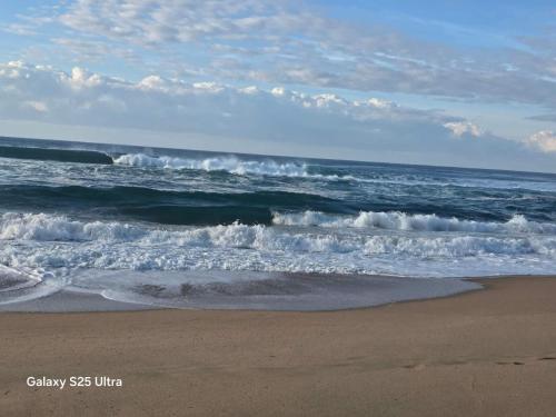 Wave Watcher - Amanzimtoti