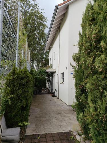 Family Room In A House In Allschwil, Basel - Kanton Basel-Landschaft