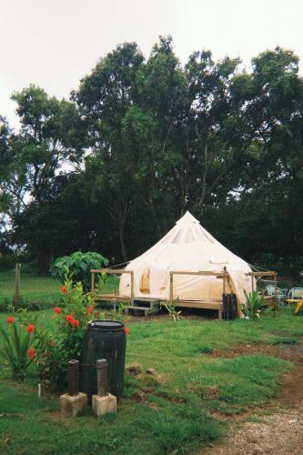 North Shore Glamping Camping Laie, Oahu, Hawaii - Hawaï