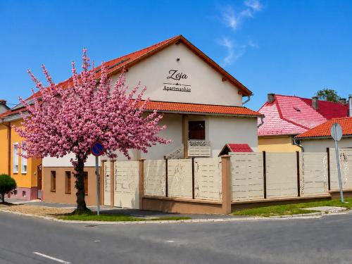 Zoja Apartmanhaz - Nagykanizsa