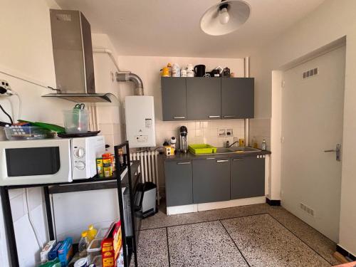 Grand Appartement Lumineux Dans Le Coeur De Clermont - Clermont-Ferrand