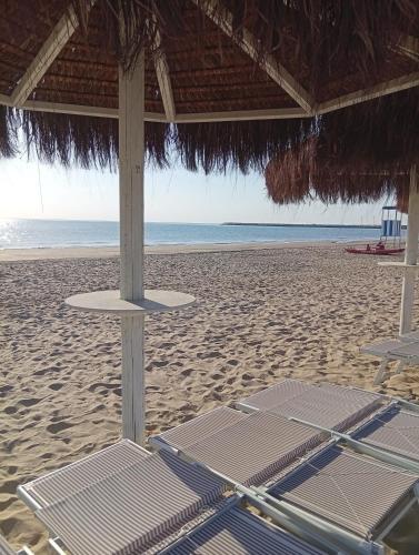 De Luxe Apartment A 150 Mt Dal Mare - Giulianova