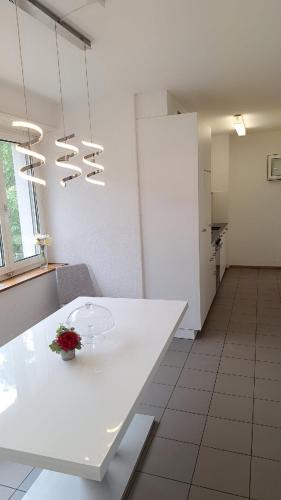 Messe-badische Sbb- Grosse Wohnung - Basel