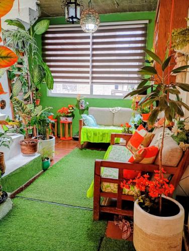 Casa Lulu - Mexico City