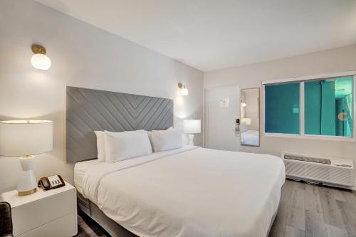 Ocean Blvd King Suite Hideaway - Fort Lauderdale, FL