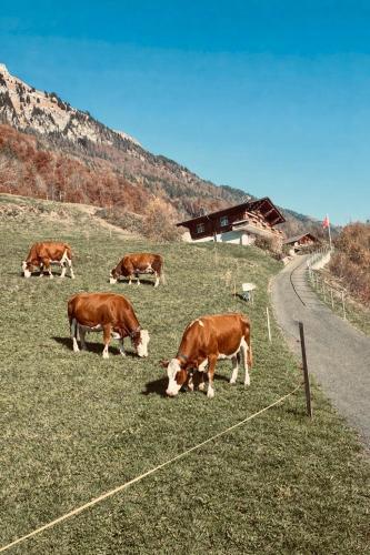 Chalet Luna - Authentic Swiss Chalet By Lake Brienz - Iseltwald