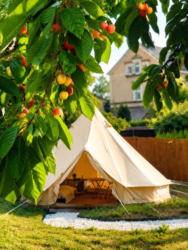 Glamping- Einzigartiges Zelten Im Ruhigen Garten Umgeben Von Obstbaumen - Saksen