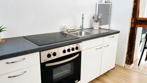 Wood Is Good! Kelkheim Central 24 7 Check In - Kelkheim (Taunus)