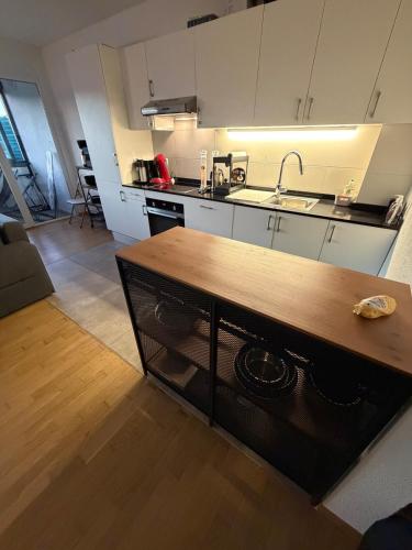 Spacious Apartment On Geneva's Doorstep - Genf