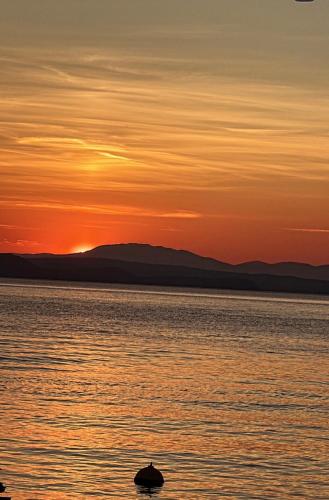 Apartment Zeljkica - Villa Sunce - Senj