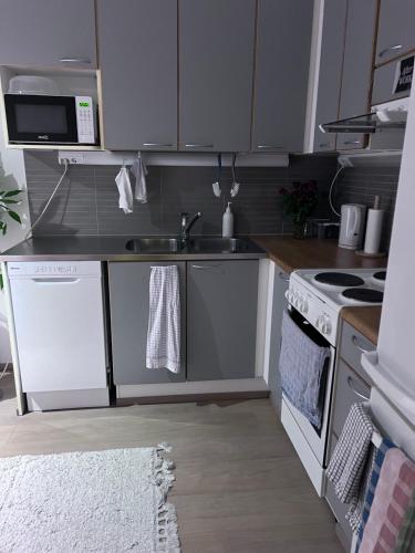 One Room, Kitchen, Balcony - Espoo